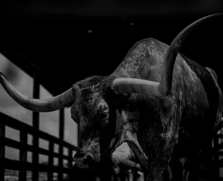 Weatherford Financial Company Rebrands | BentOak Capital